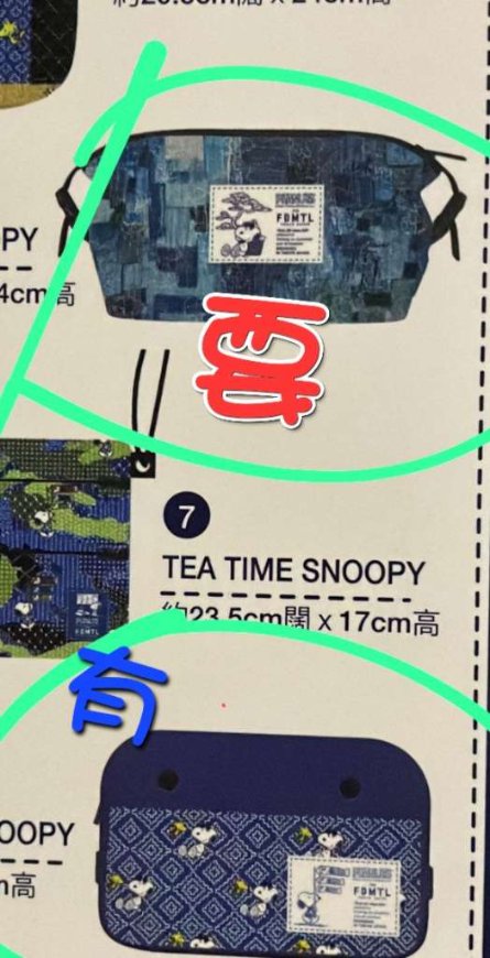 HKTVmall EcoMart - Snoopy 8 號Koinobori