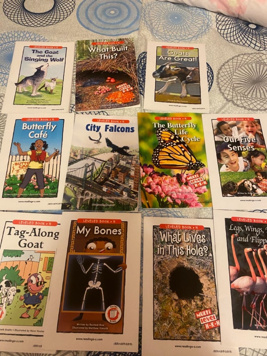 HKTVmall EcoMart - Raz-kids 兒童英語分級圖書reading level H